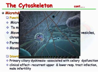 Cell and cell organelles | PPTX