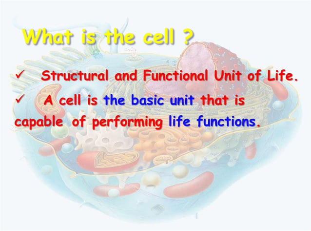 Cell and cell organelles | PPTX | Biological Sciences | Science