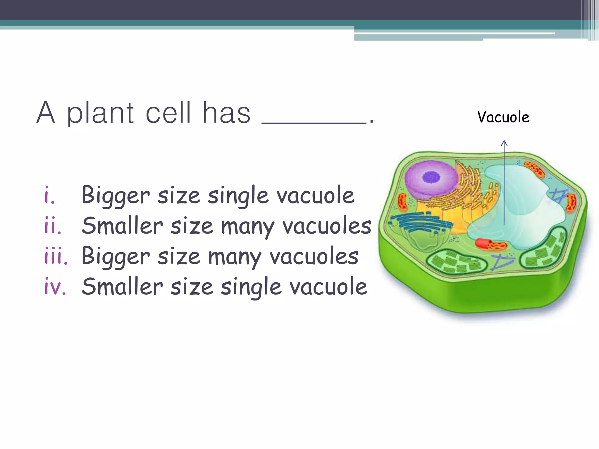Cell organelles, plant and animal cell, | PPTX