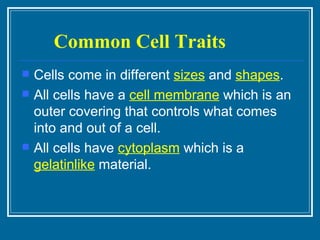 Cell Organelles Powr Point | PPT