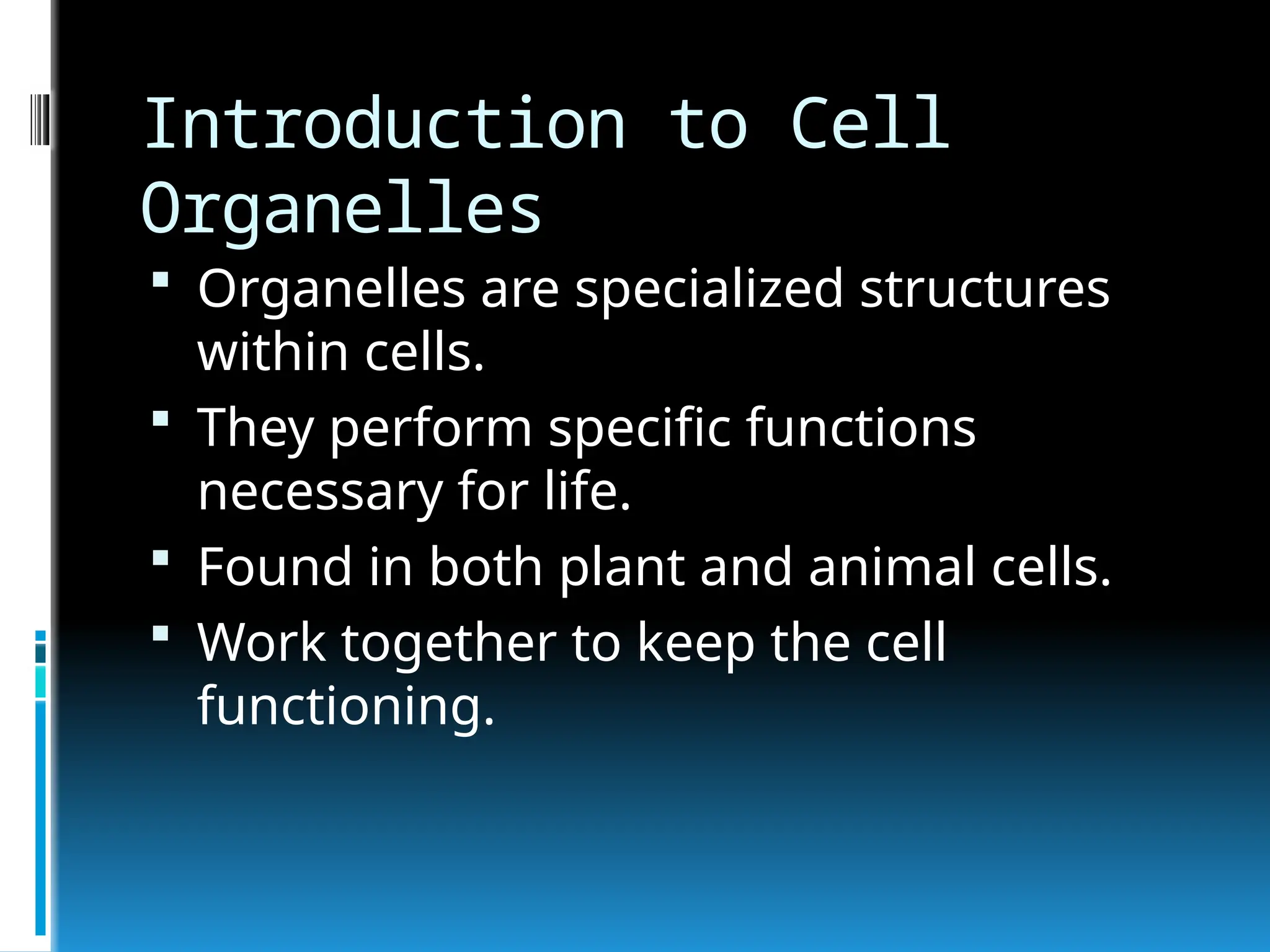 Cell_Organelles_Presentation.powerpointpresentation | PPTX