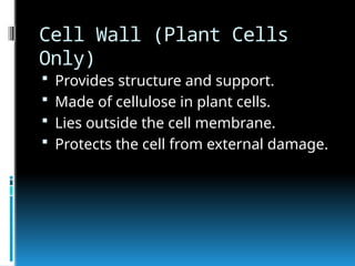 Cell_Organelles_Presentation.powerpointpresentation | PPTX