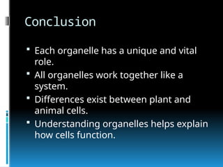 Cell_Organelles_Presentation.powerpointpresentation | PPTX