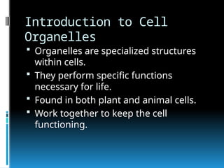 Cell_Organelles_Presentation.powerpointpresentation | PPTX