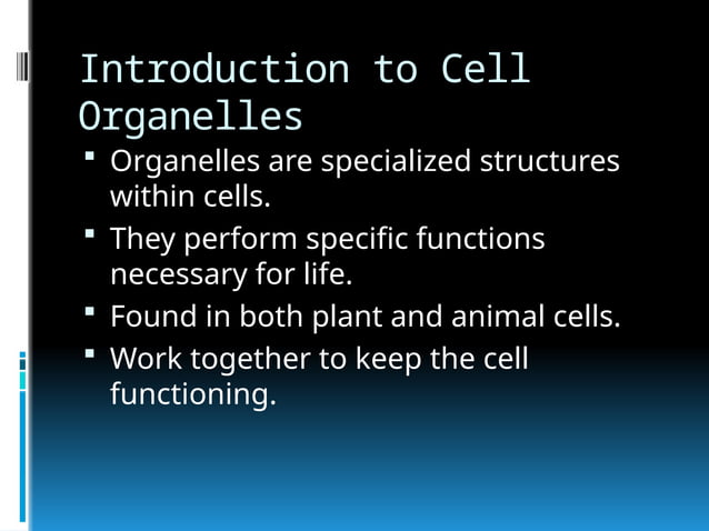Cell_Organelles_Presentation.powerpointpresentation | PPTX