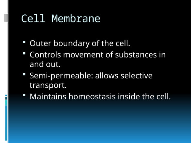 Cell_Organelles_Presentation.powerpointpresentation | PPTX