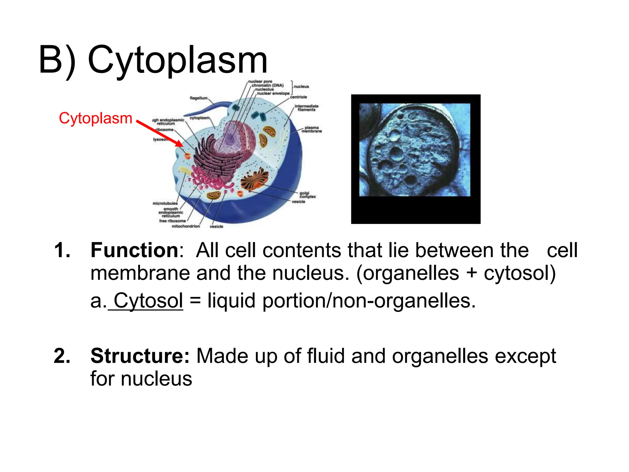 Cell_Organelles_Presentation and Cell Analogy Activity.pptx ...