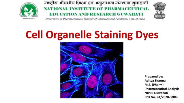 Cell Organelle Staining Dyes | PPTX