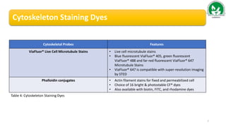 Cell Organelle Staining Dyes | PPTX