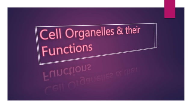 Cell Organelles & their Functions | PPTX | Biological Sciences | Science