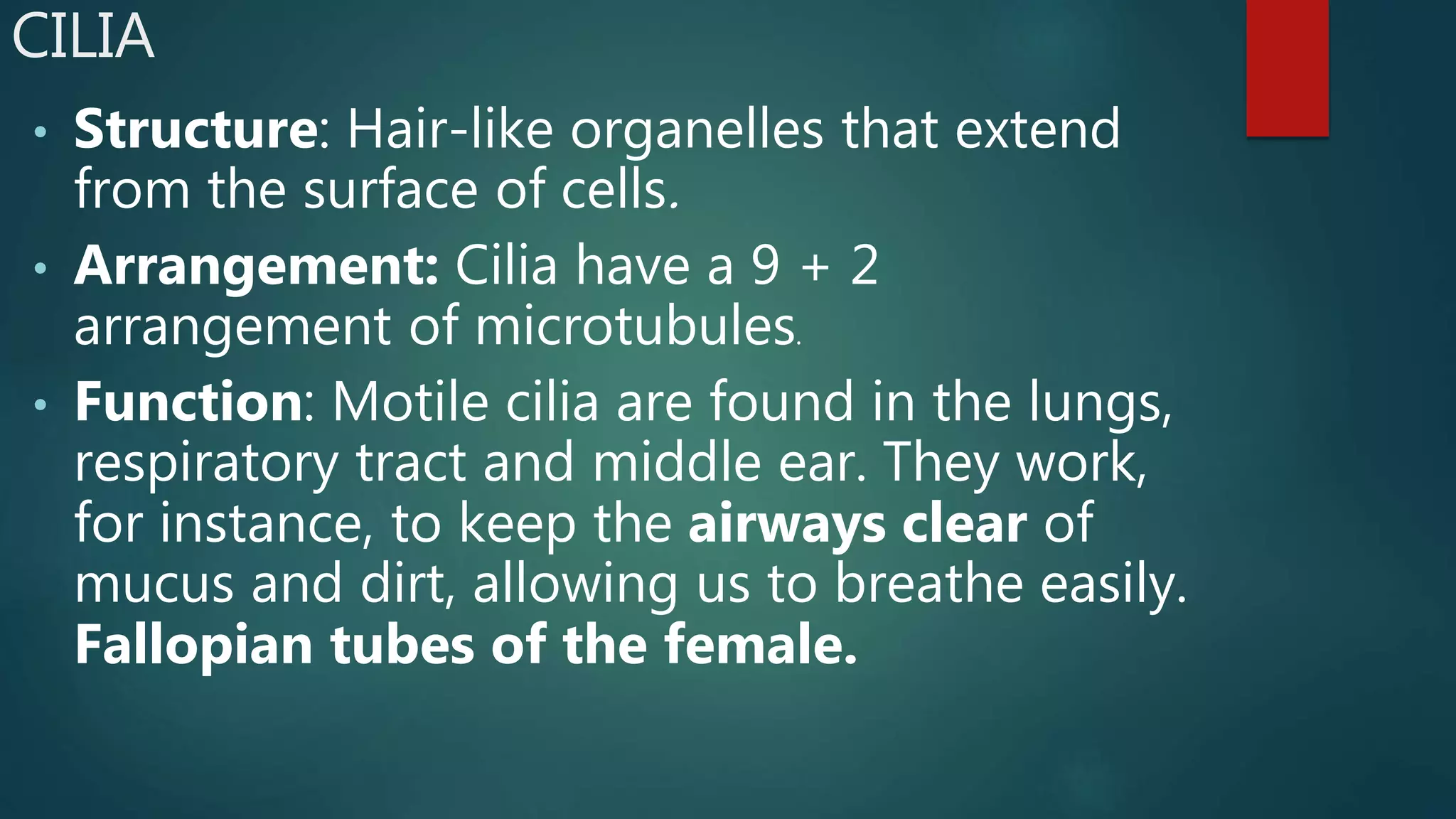 Cell organells [autosaved] | PPTX