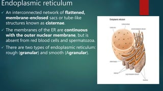Cell organells [autosaved] | PPT