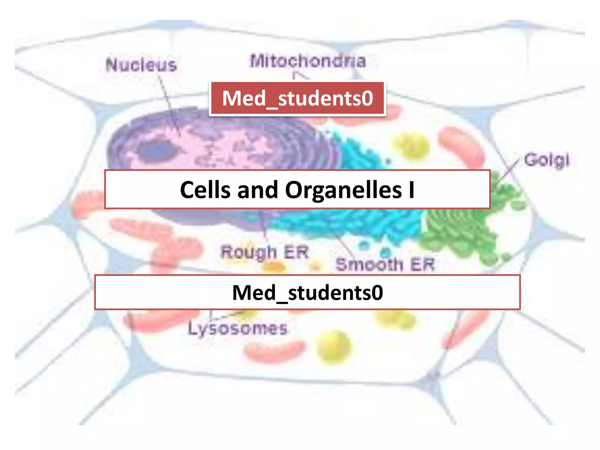 Cell organells 1 | PPTX