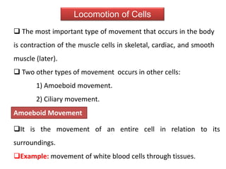Cell organells ii | PPT