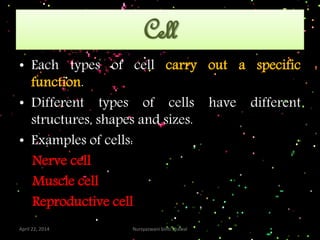 Cell organisation | PPTX
