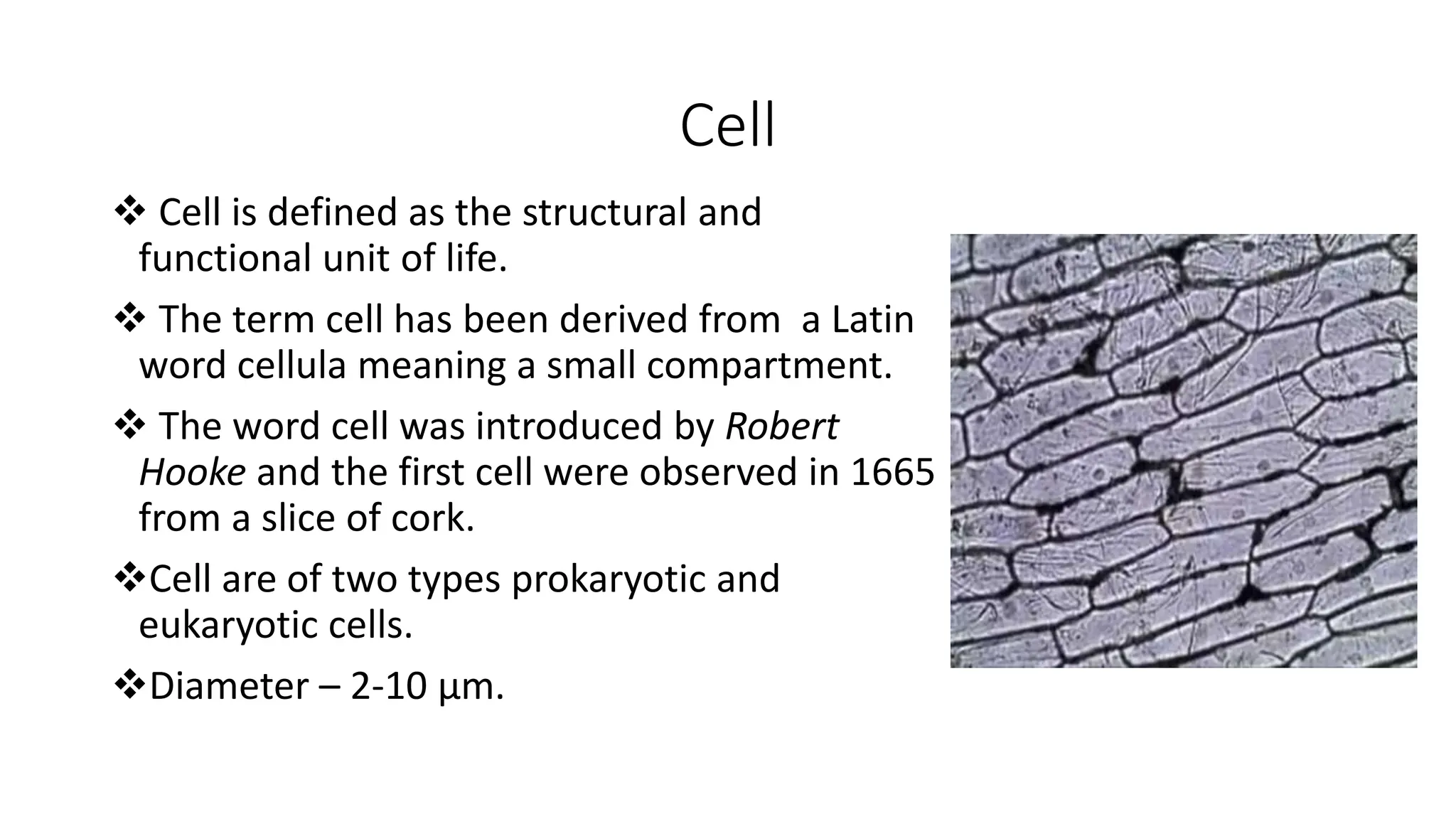 cell organisation .pptx