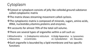 cell organisation .pptx