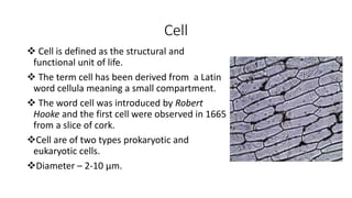 cell organisation .pptx