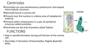 cell organisation .pptx