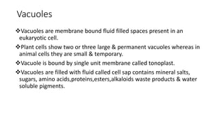 cell organisation .pptx