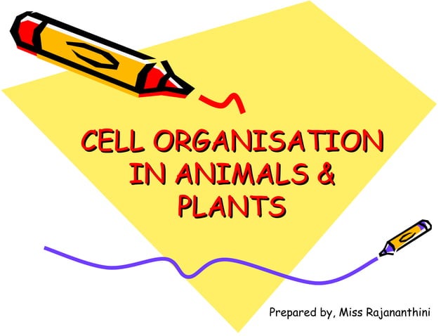 Cell organisation | PPT | Biological Sciences | Science
