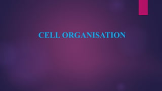 cell organisation PPT cells tissue organ | PPT