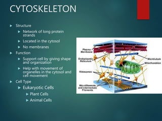 Cell Organnels.ppt