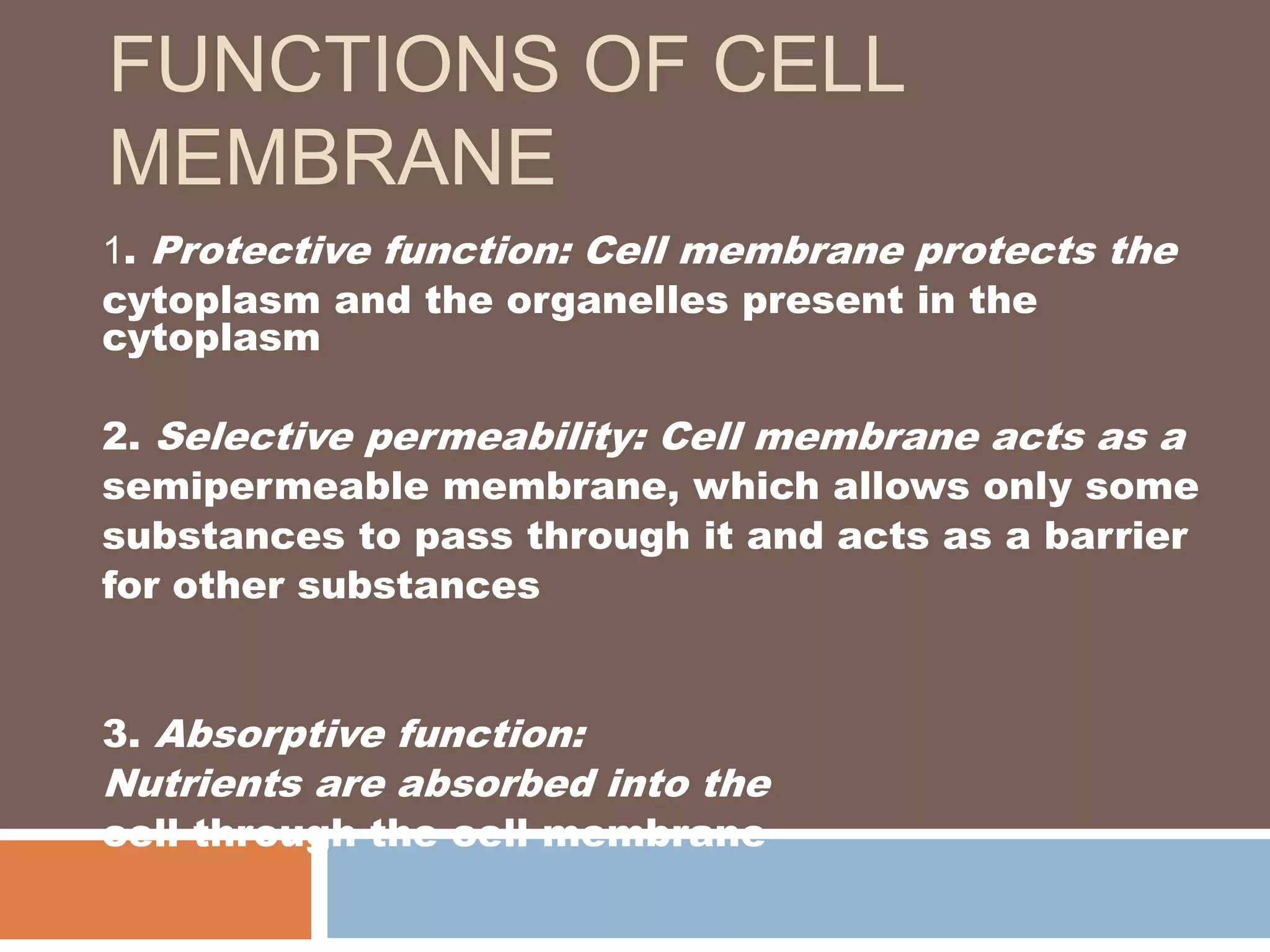 human cell anatomy and function | PPTX