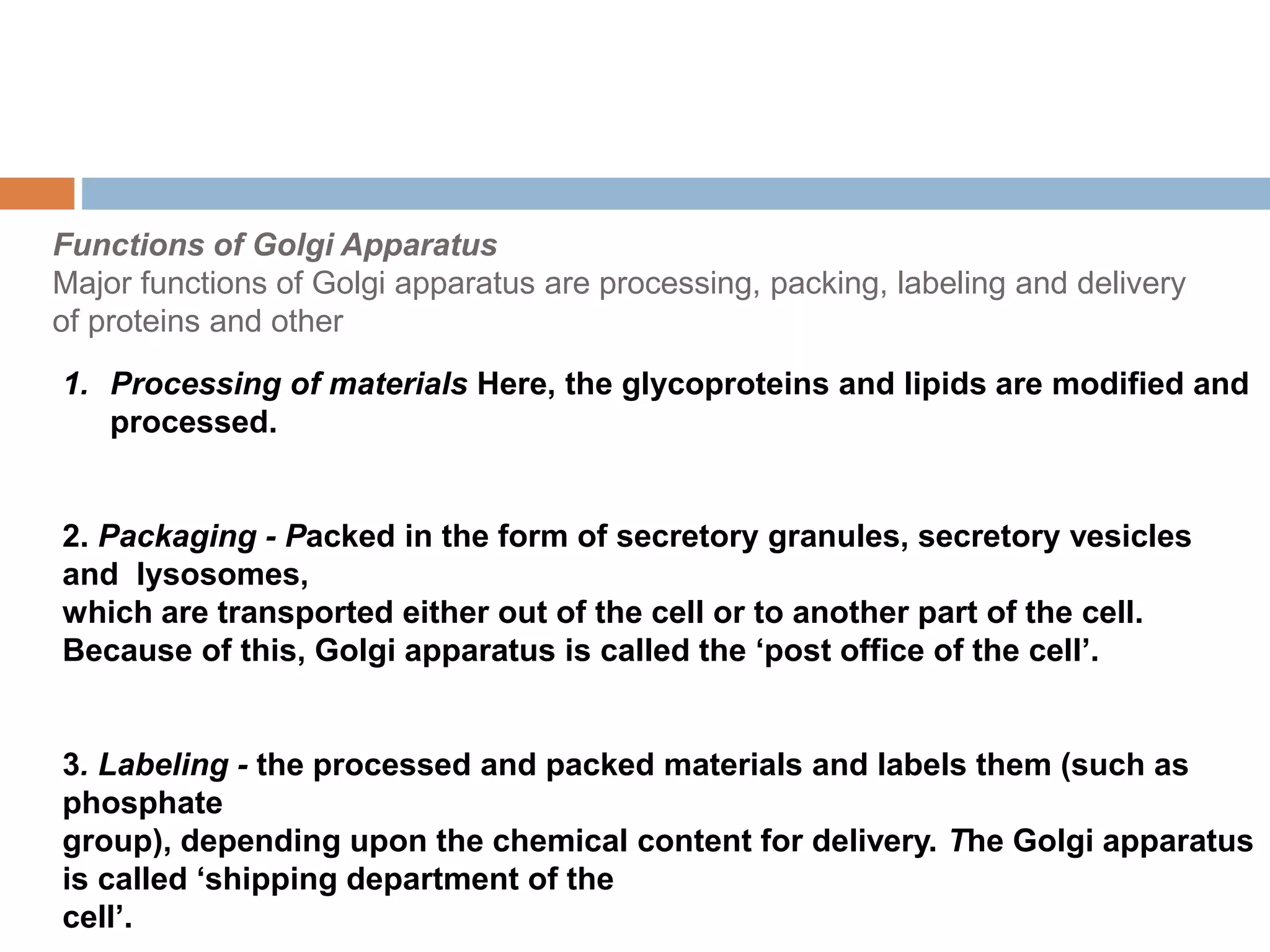 human cell anatomy and function | PPTX