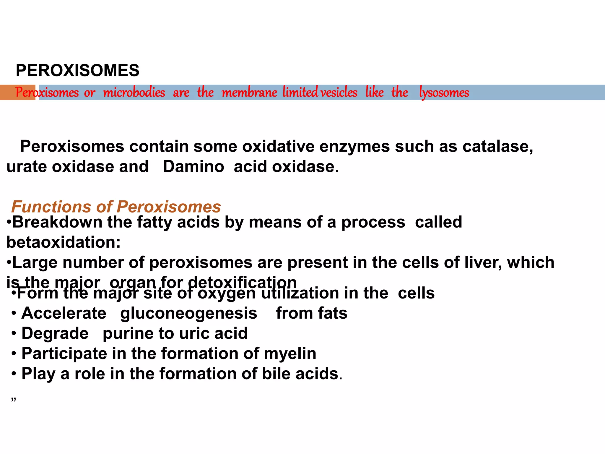 human cell anatomy and function | PPTX