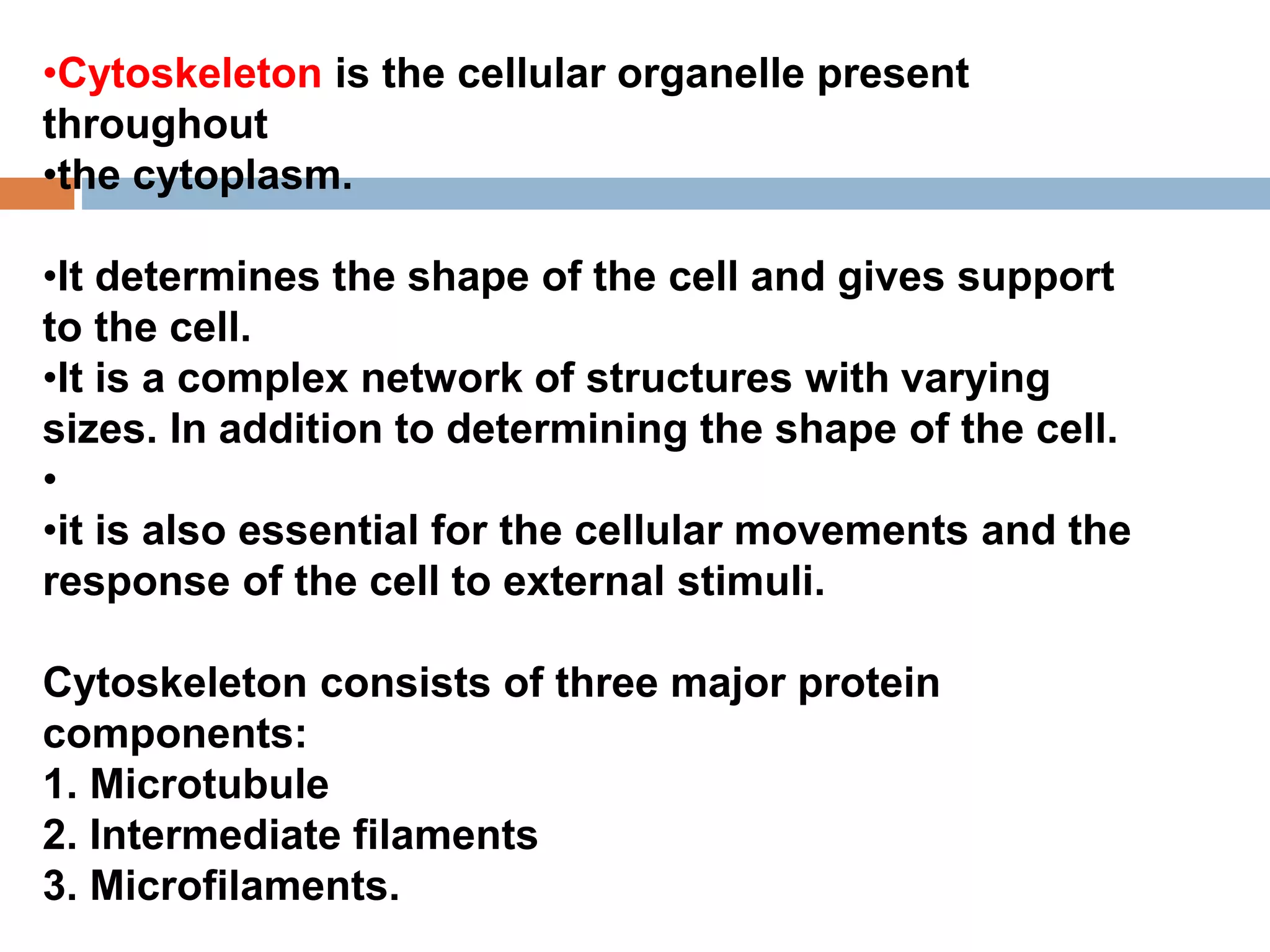 human cell anatomy and function | PPTX