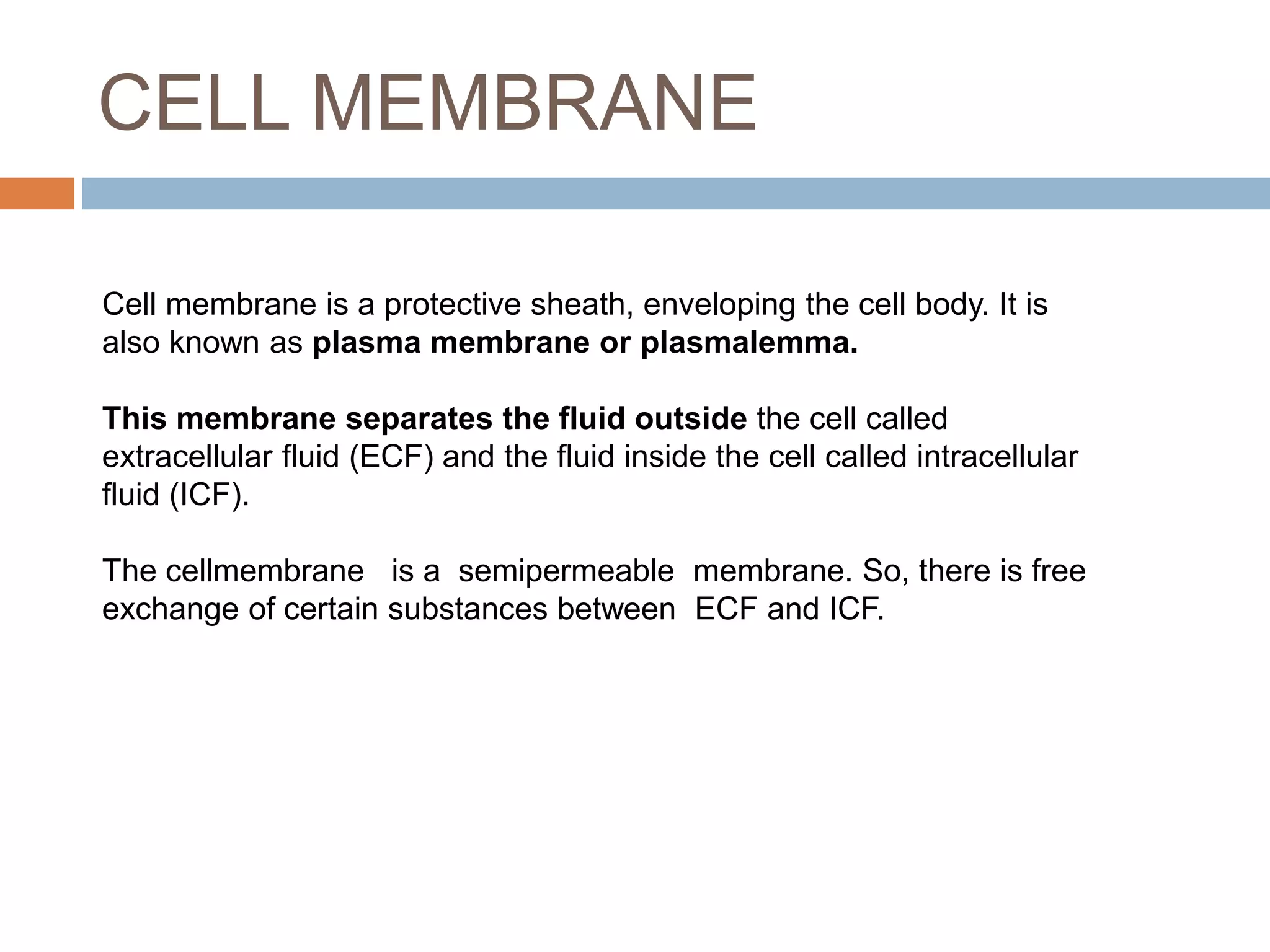 human cell anatomy and function | PPTX