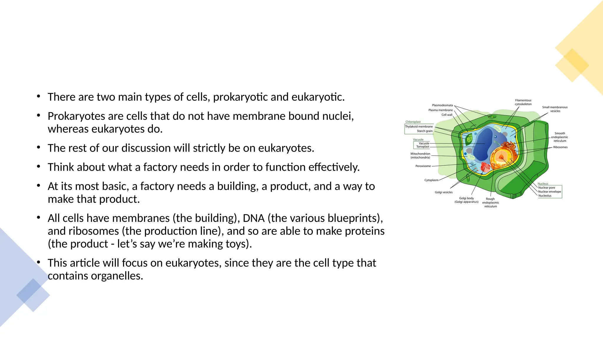 Cell Part 1_undergraduate cell biology.pptx