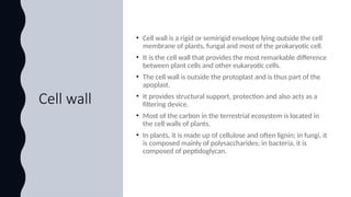Cell Part 1_undergraduate cell biology.pptx