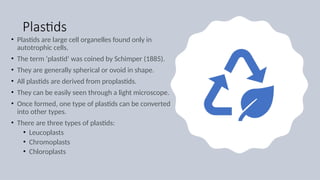 Cell Part 1_undergraduate cell biology.pptx