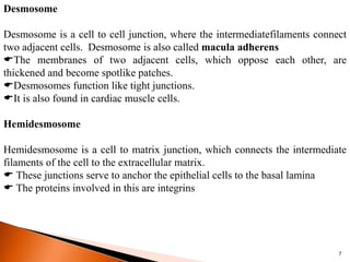 Cell Junctions & Transport Through Cell Membranes | PPTX