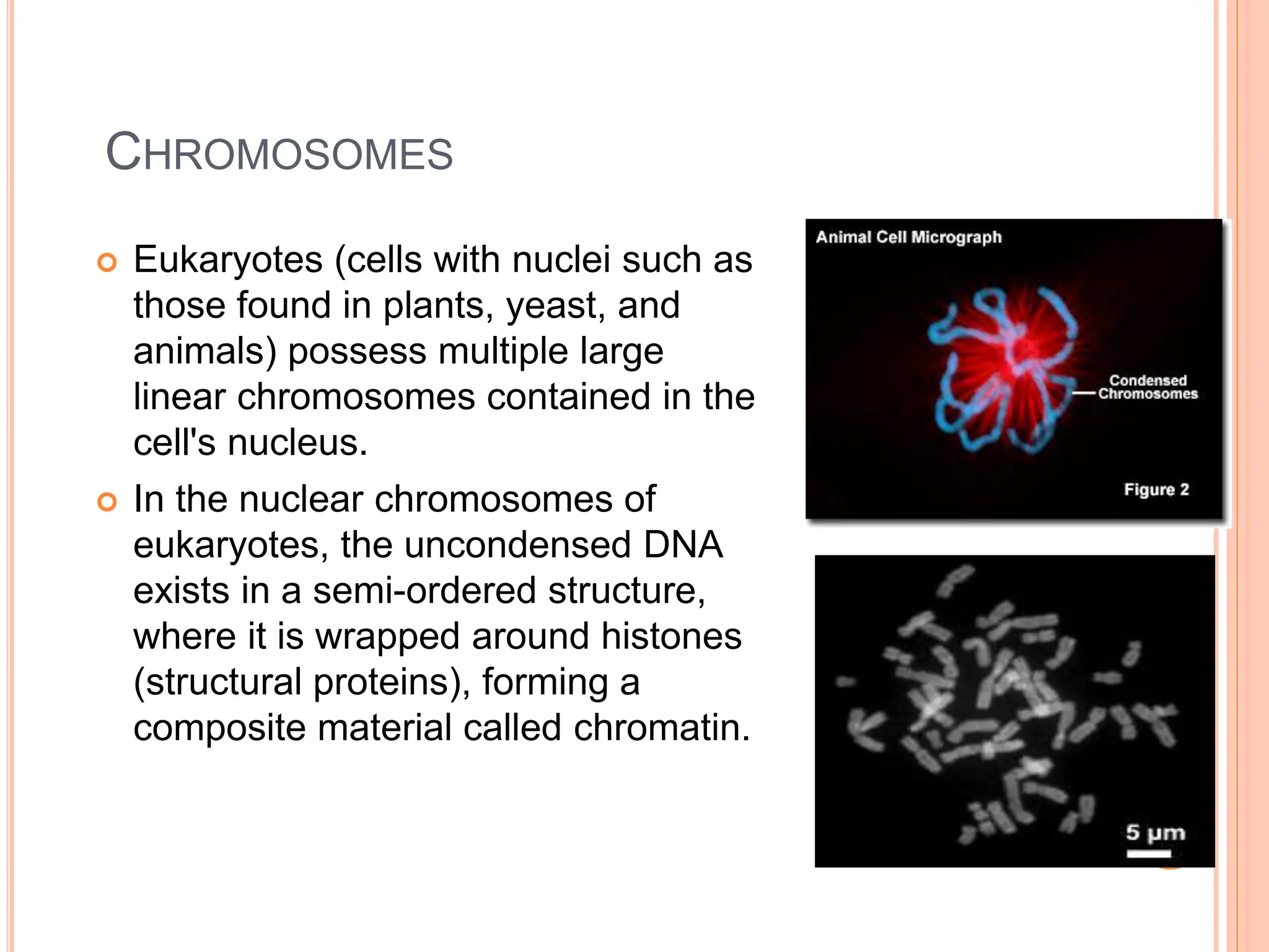 CellParts.ppt cytology lucture ( 1,2,3) biology | PPT