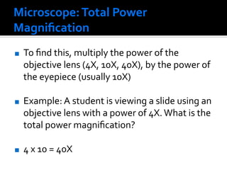 Using a microscope guide pdf light microscopes magnification | PDF