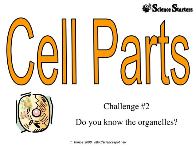 Cell.Parts.Organelles.Challenge.Cell.Parts. | PPT