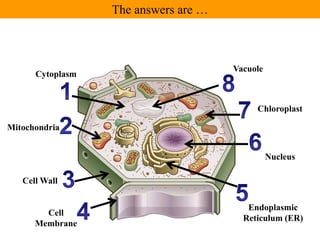 Cell.Parts.Organelles.Challenge.Cell.Parts. | PPT