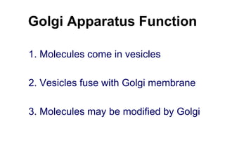 Cell parts and function.ppt