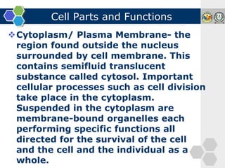 Cell parts and functions transport across membranes | PPT