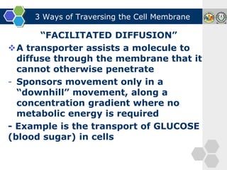 Cell parts and functions transport across membranes | PPT