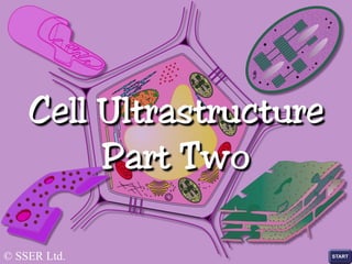 Cell Parts and Structure Power point Presentation.PPT