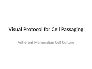 Cell_Passaging_Visual_Protocol.ppt. cancer x | PPTX
