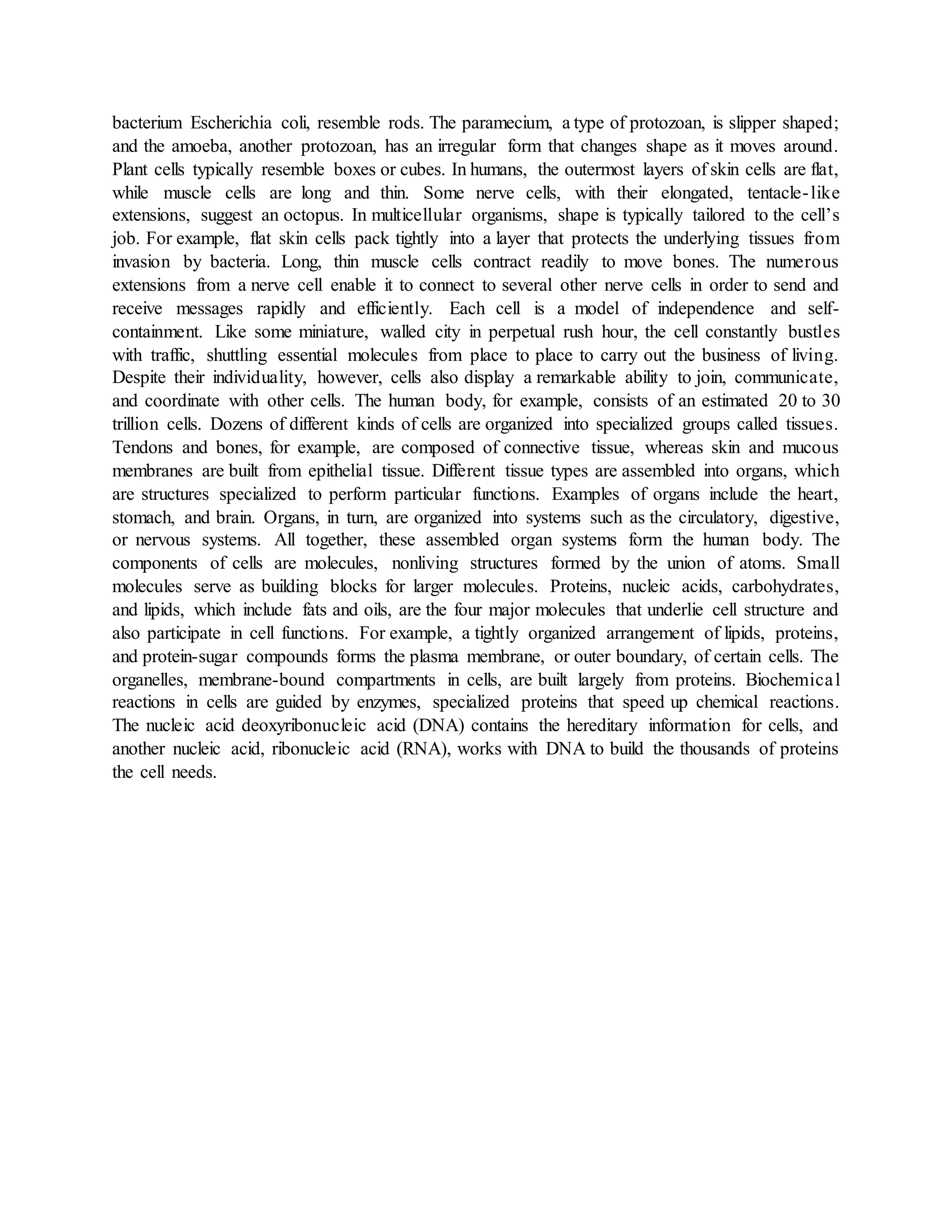 Cell pathology assignment | DOCX | Biological Sciences | Science