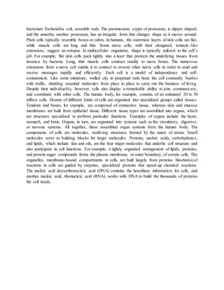 Cell pathology assignment | PDF