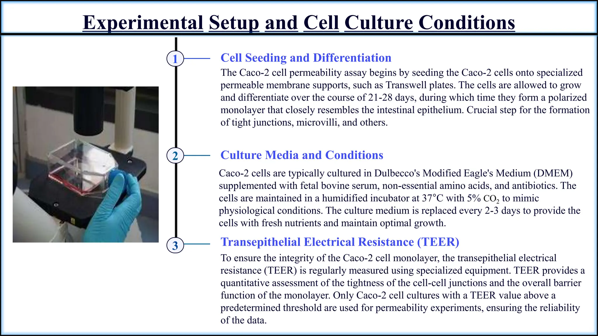 Cell permeability assays: caco-2 cell permeability, pampa membrane ...