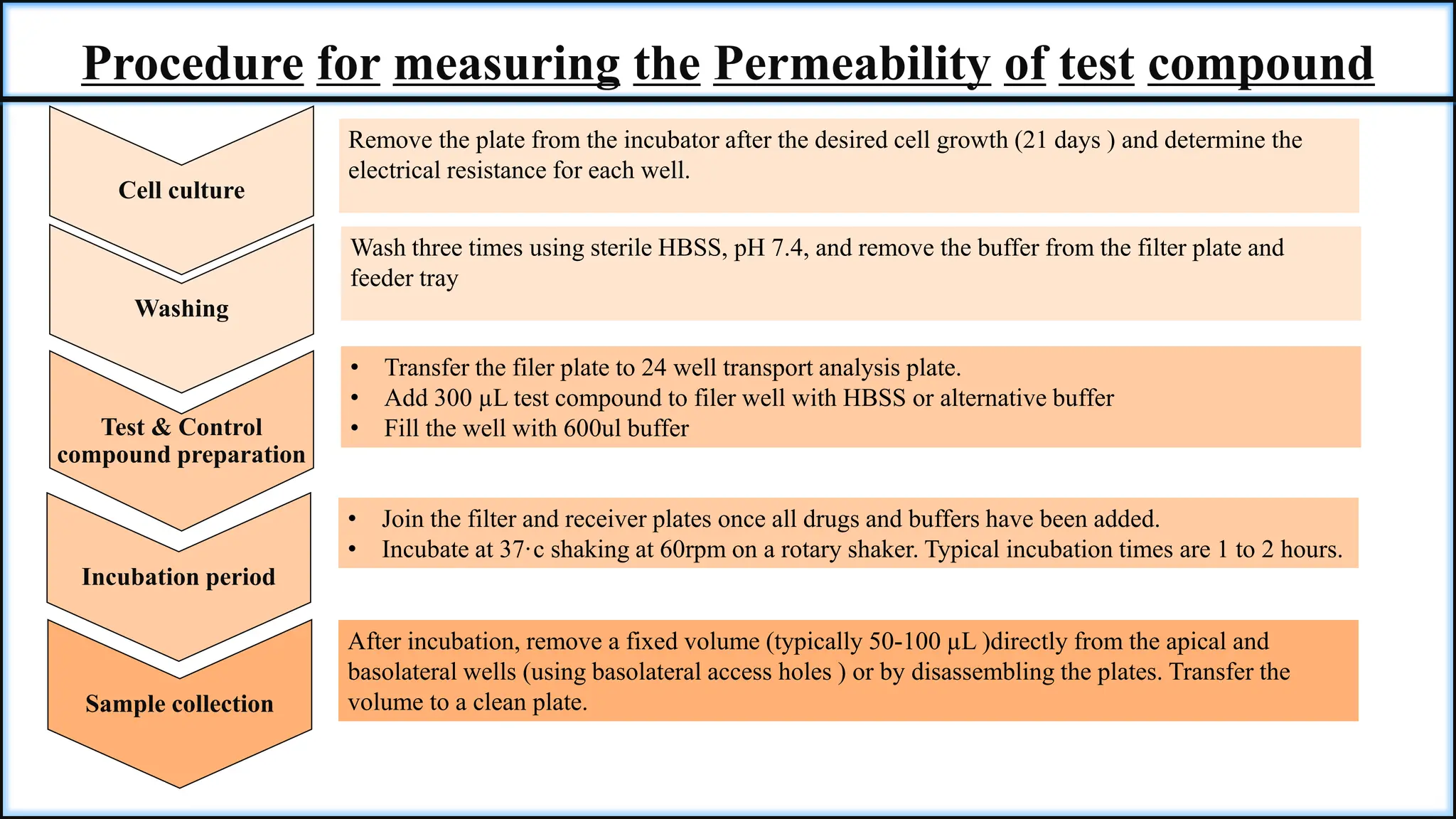 Cell Permeability Assays Caco 2 Cell Permeability Pampa Membrane Assays Pptx Digestive