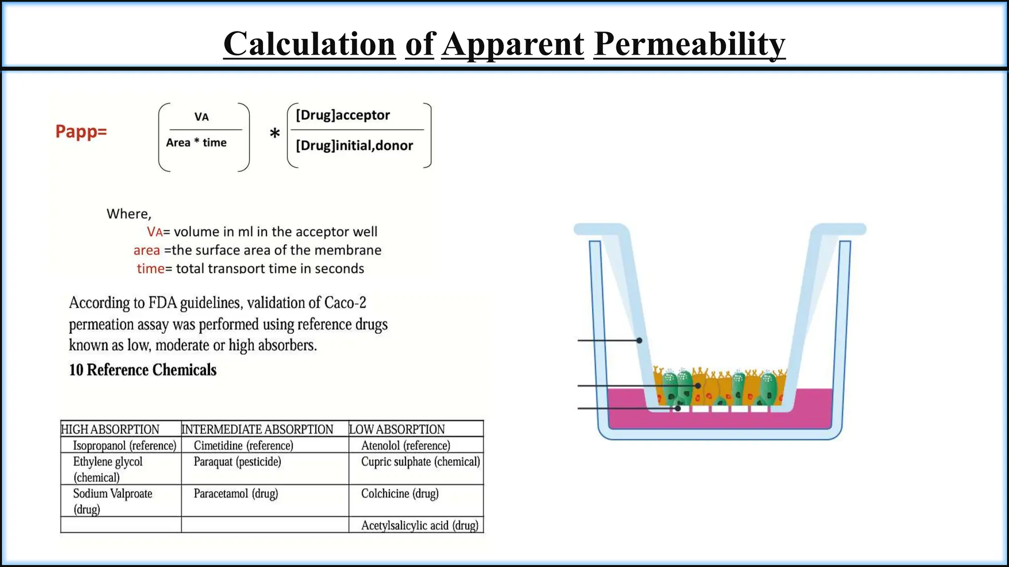 Cell Permeability Assays Caco 2 Cell Permeability Pampa Membrane Assays Pptx Digestive